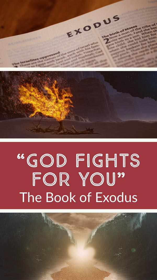 Exodus-Bible-Study-600-q50 - Zion Lutheran Church